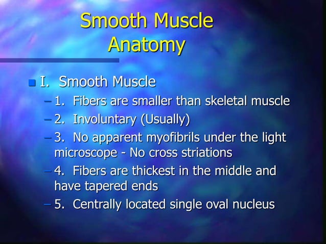 Lec. 21new - Smooth Muscle Anatomy.ppt | Biological Sciences | Science