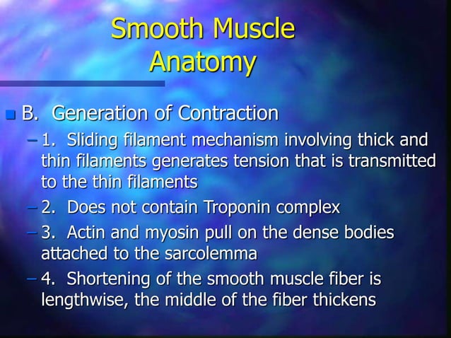 Lec. 21new - Smooth Muscle Anatomy.ppt | Biological Sciences | Science