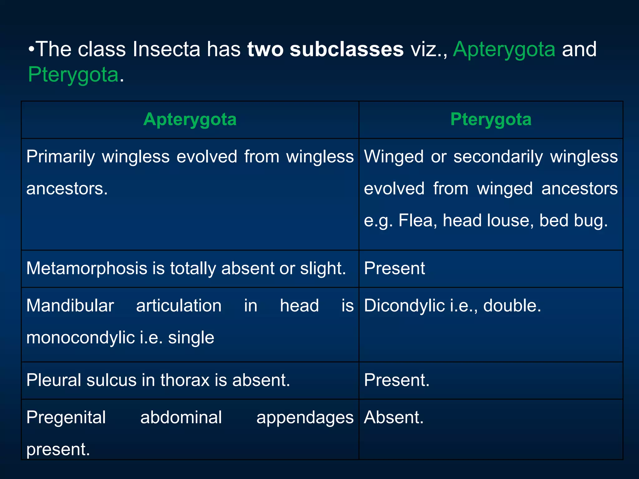 Lec. 34 Classification of class insecta.ppt