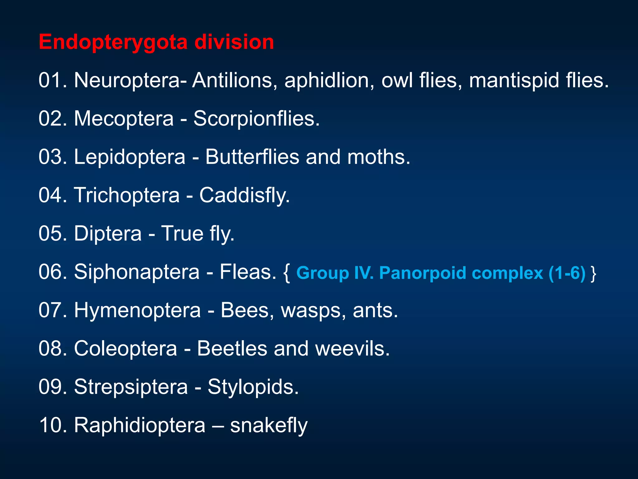 Lec. 34 Classification of class insecta.ppt