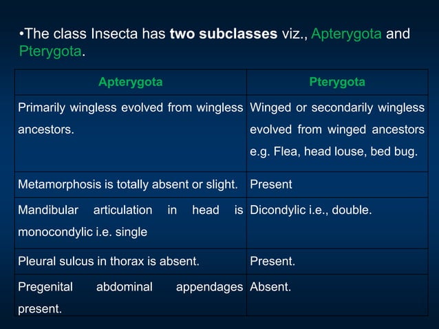 Lec. 34 Classification of class insecta.ppt