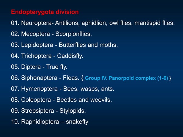 Lec. 34 Classification of class insecta.ppt