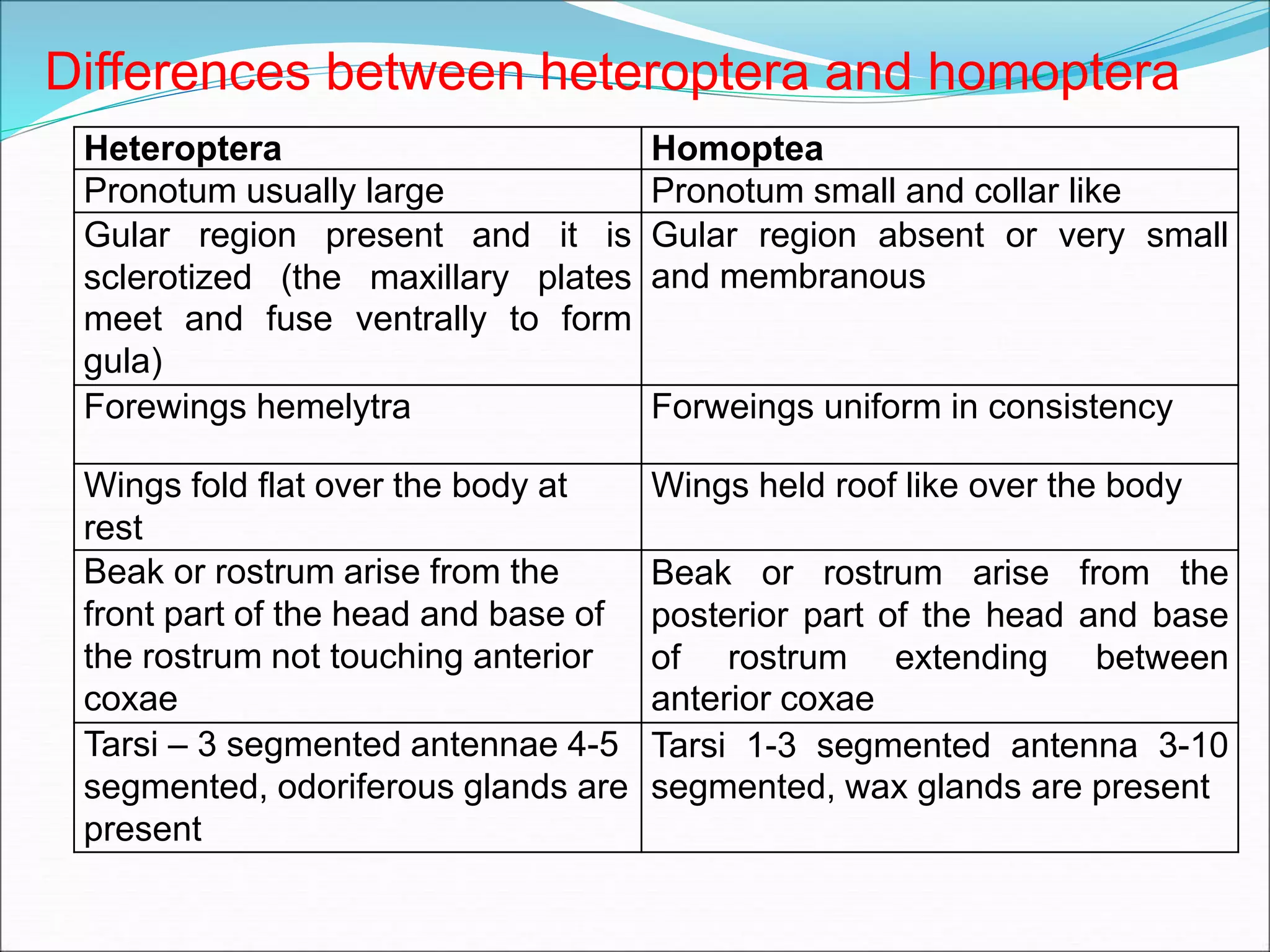 Lec. 34 Classification of class Insecta upto Orders.ppt