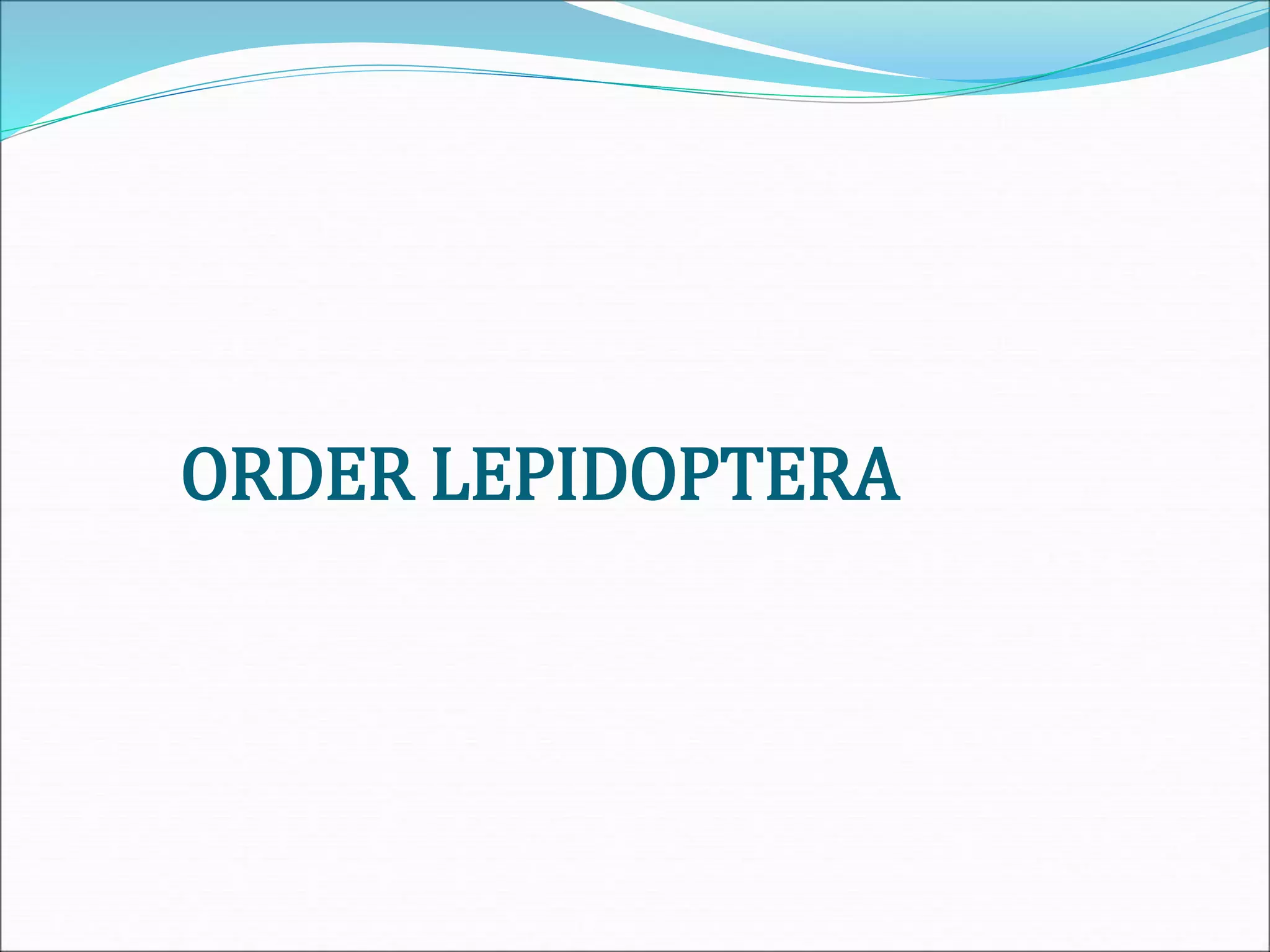 Lec. 34 Classification of class Insecta upto Orders.ppt