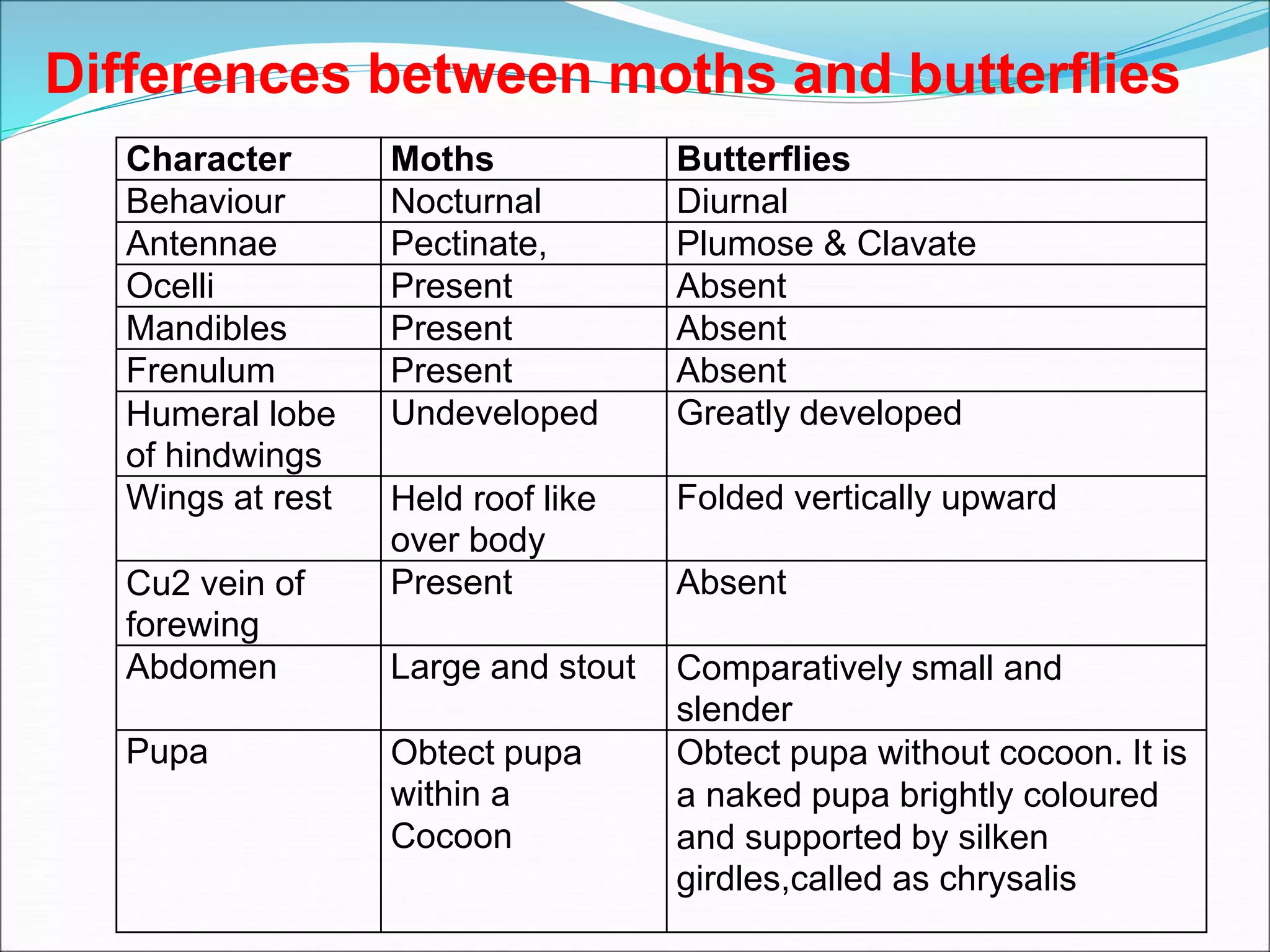 Lec. 34 Classification of class Insecta upto Orders.ppt