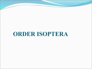 Lec. 34 Classification of class Insecta upto Orders.ppt