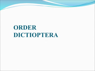 Lec. 34 Classification of class Insecta upto Orders.ppt