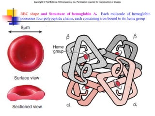 Lec.1.Blood,2018.pptx