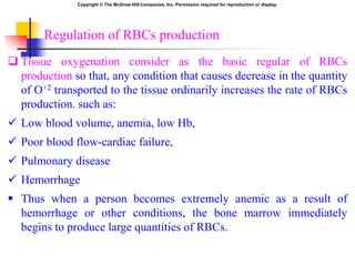Lec.1.Blood,2018.pptx