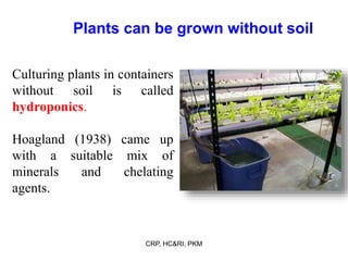 Lec. 06.min. crp.ppt | Nutrition | Healthy Living