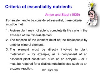 Lec. 06.min. crp.ppt | Nutrition | Healthy Living