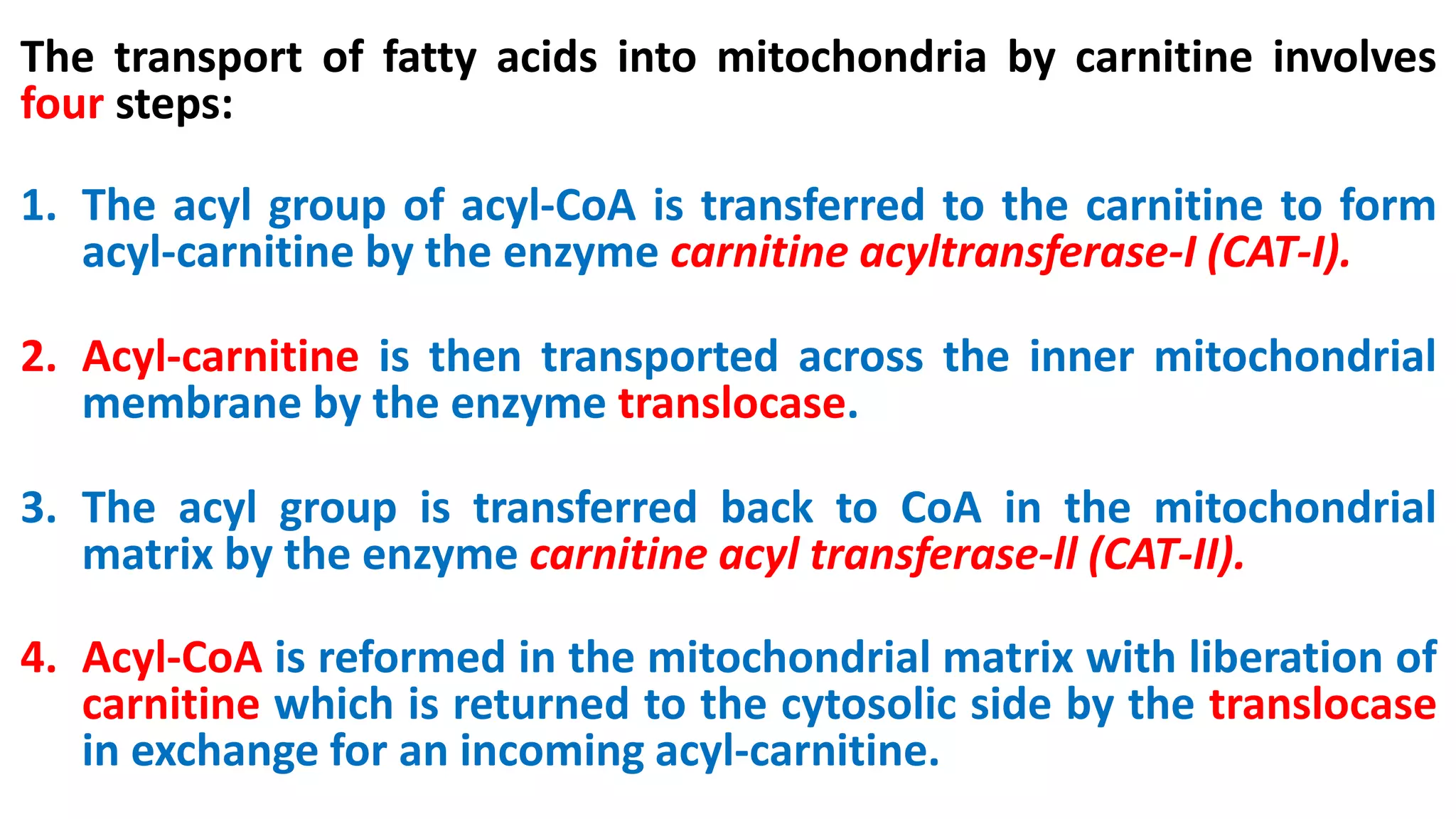 Lipid metabolism | PPTX