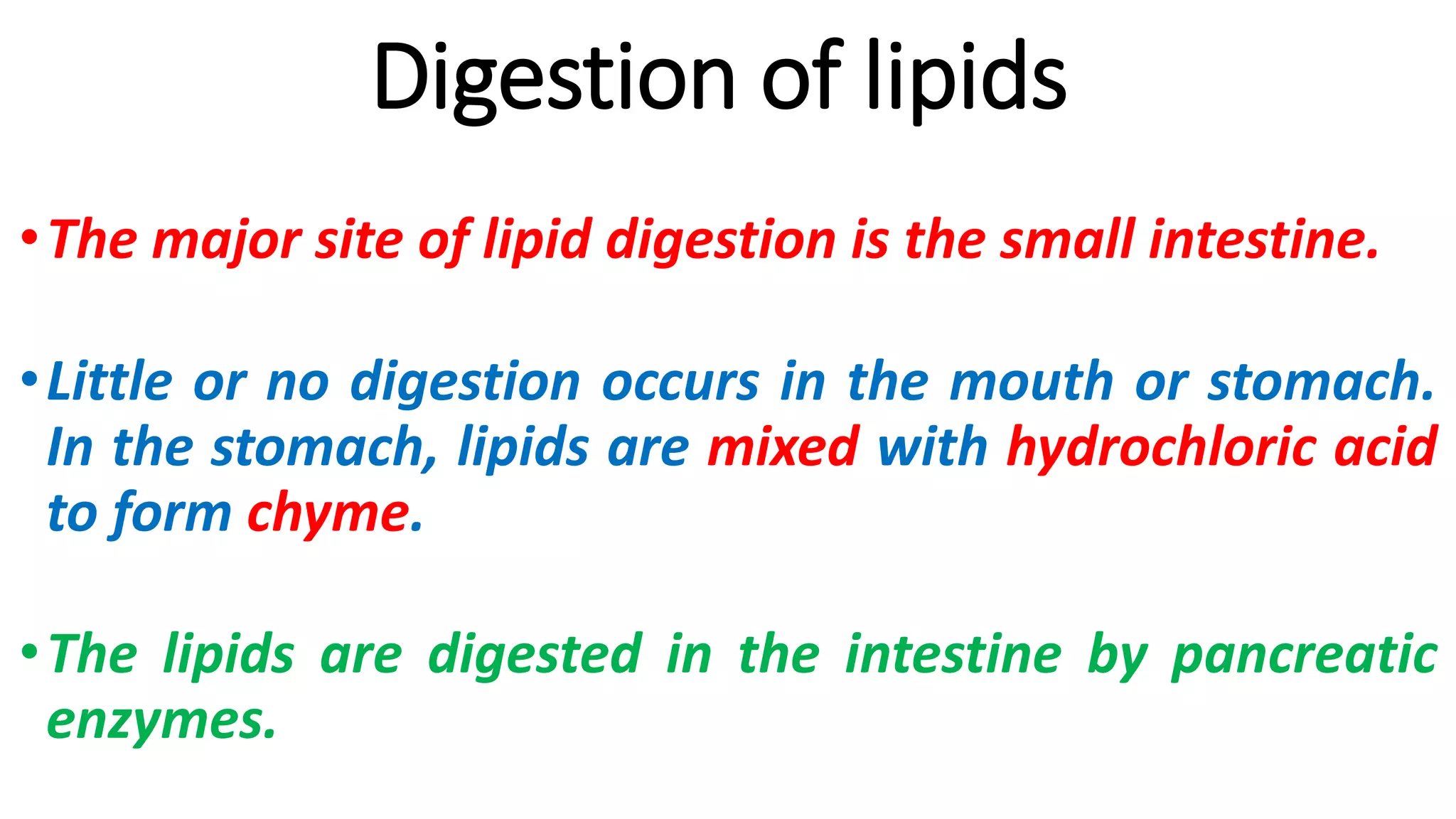 Lipid metabolism | PPTX