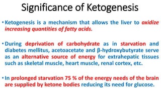 Lipid metabolism | PPTX