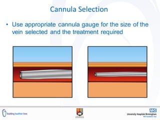 lec. 4 canulation.pdf | First Aid | Injuries