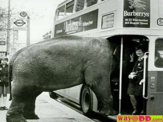 lEC.09.ERGONOMICS.ppt