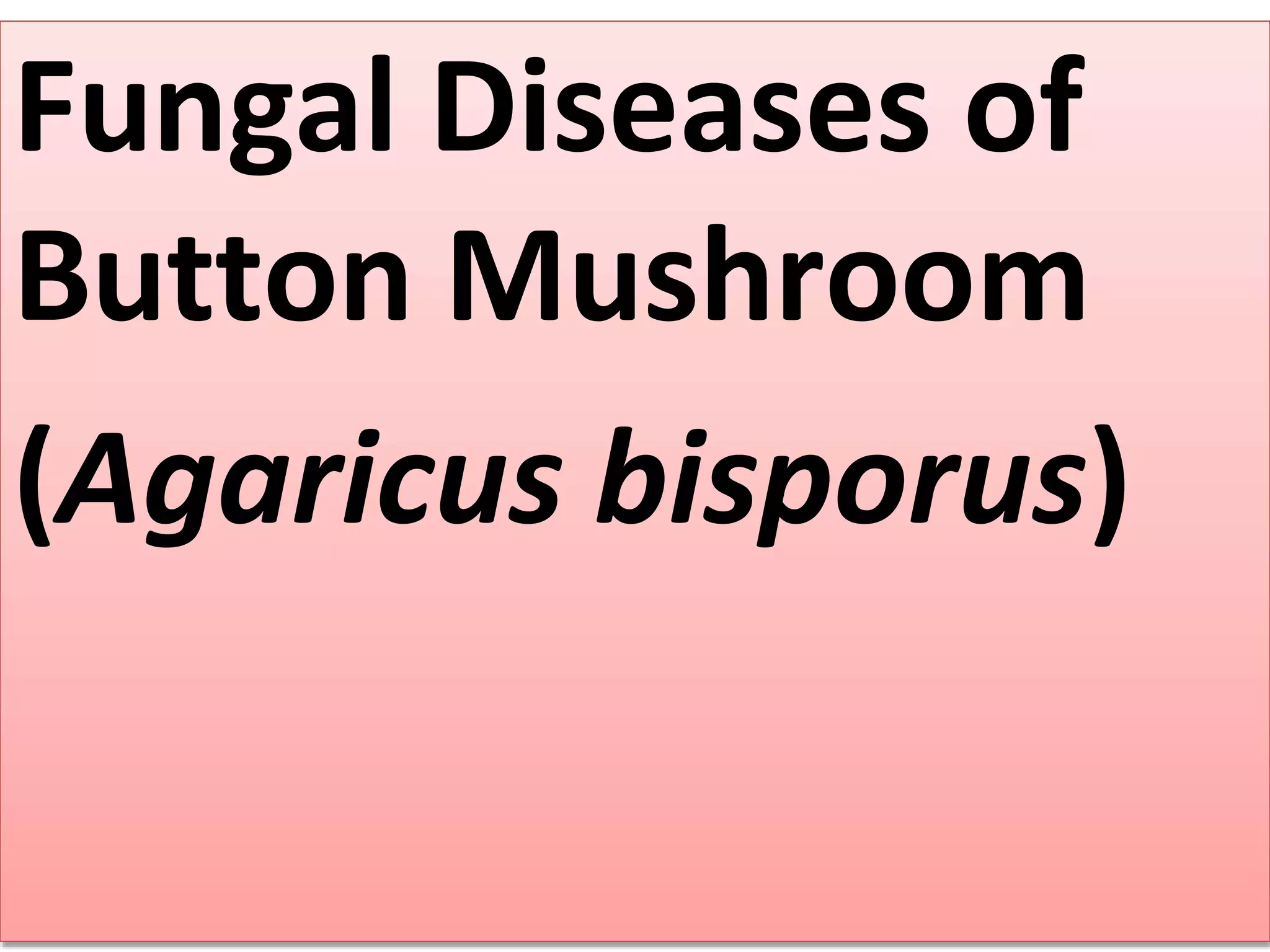 Lec. 9 diseases of mushrooms.pptx