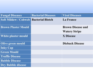 Lec. 9 diseases of mushrooms.pptx