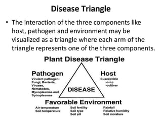 Lec.3 epidemiology of plant diseases-191031103020.pptx