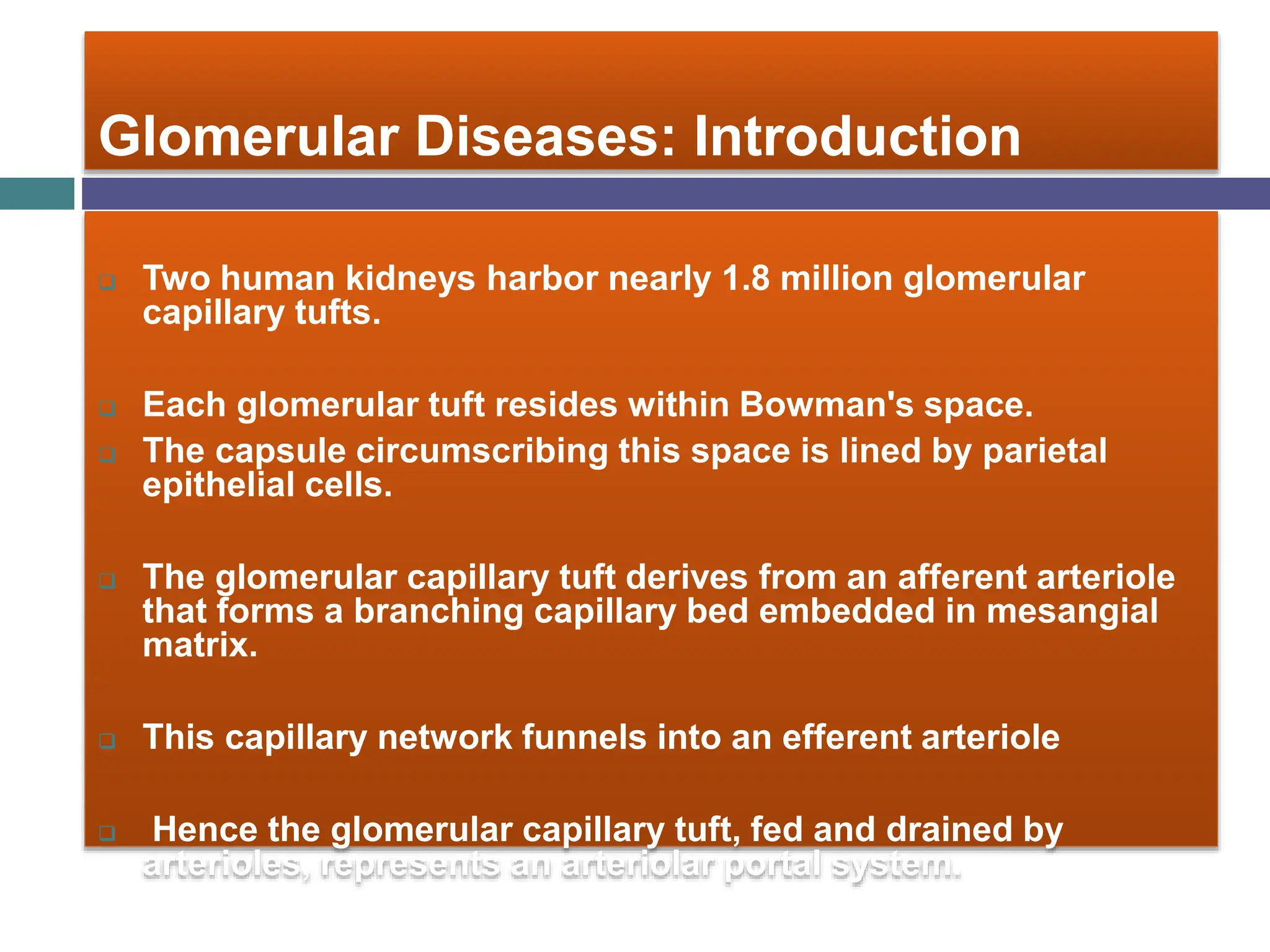 Lec. Glomerular disease (1) (2).pptx