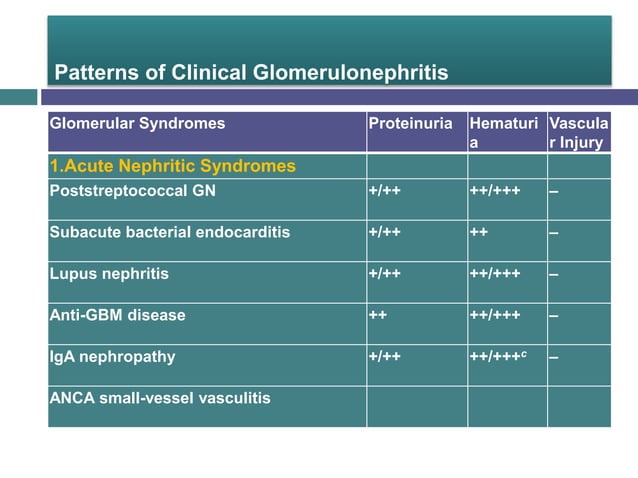 Lec. Glomerular disease (1) (2).pptx