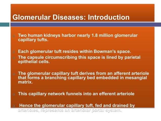 Lec. Glomerular disease (1) (2).pptx