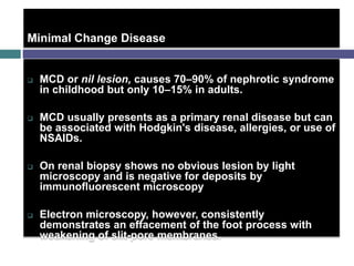 Lec. Glomerular disease (1) (2).pptx