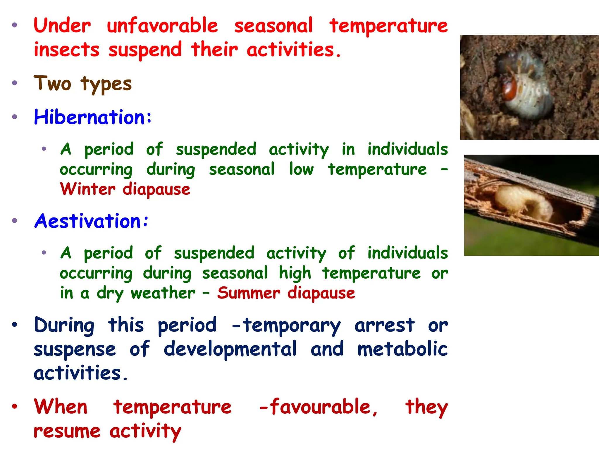 Lec. 14. Abiotic factors - Physical, nutritional and host plant ...