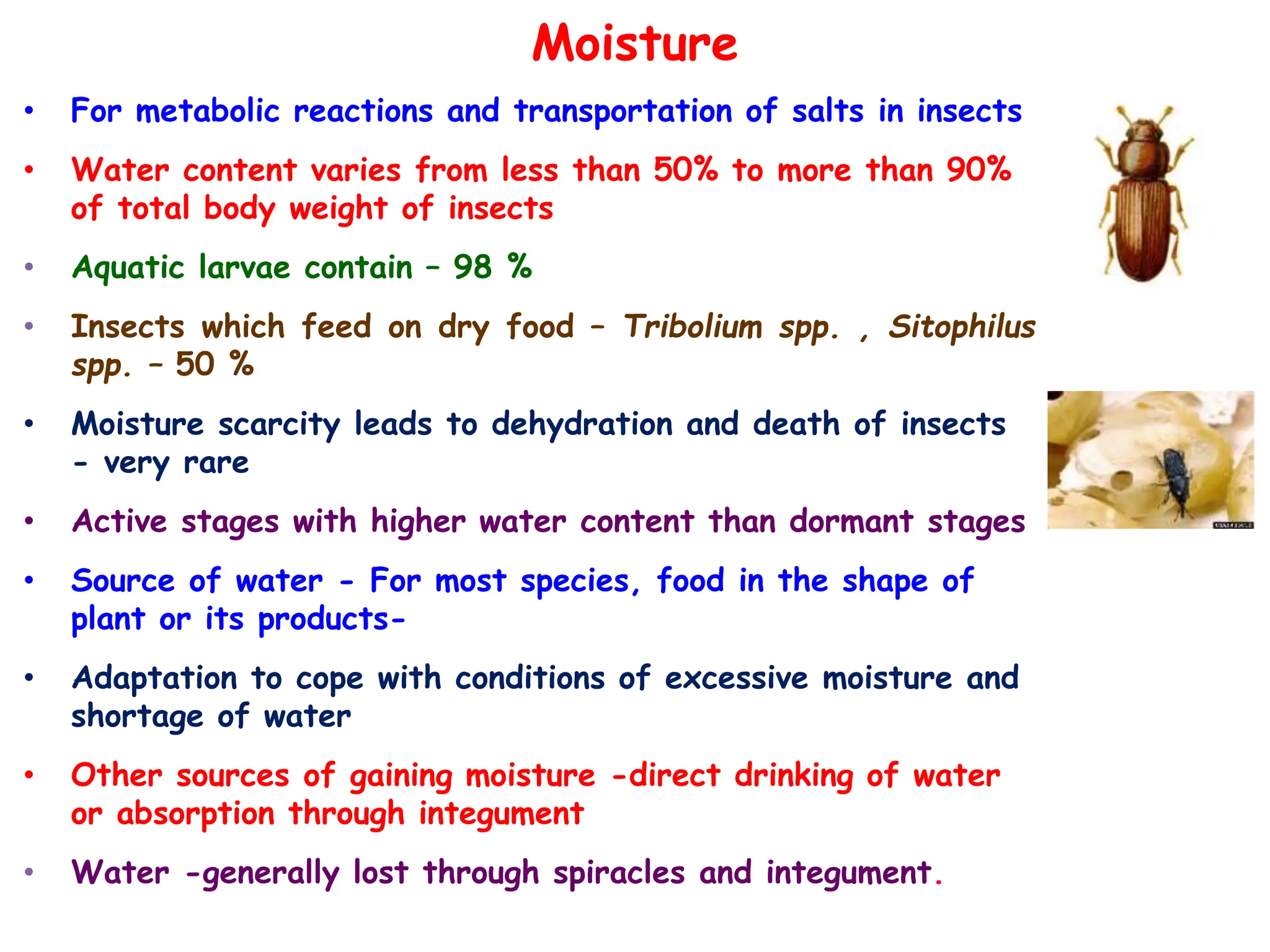 Lec. 14. Abiotic factors - Physical, nutritional and host plant ...