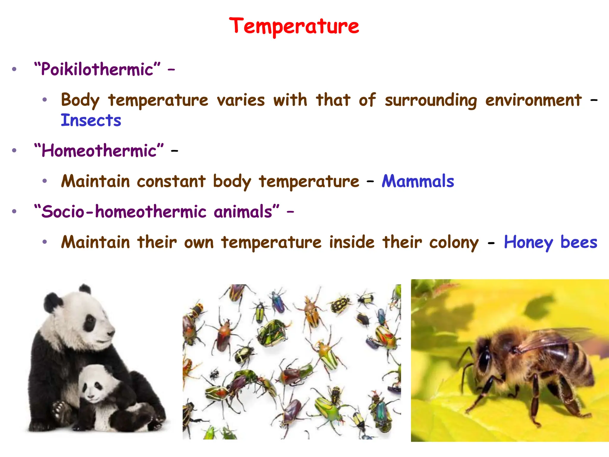 Lec. 14. Abiotic factors - Physical, nutritional and host plant ...