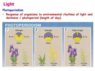 Lec. 14. Abiotic factors - Physical, nutritional and host plant ...