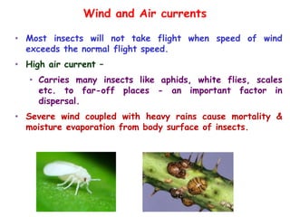 Lec. 14. Abiotic factors - Physical, nutritional and host plant ...