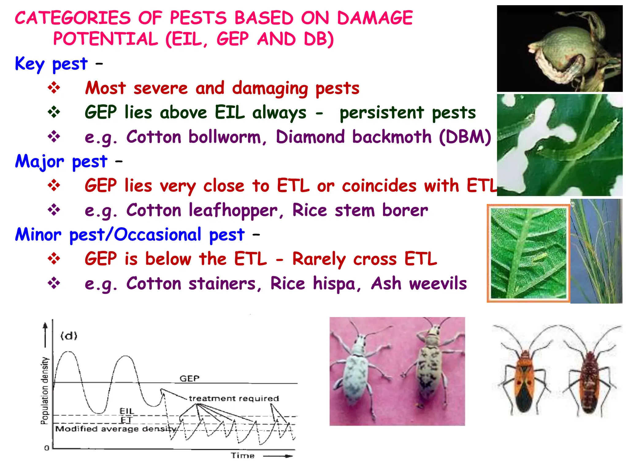 Lec. 15. Pests - Definition - Categories, Causes for outbreak of pests.ppt