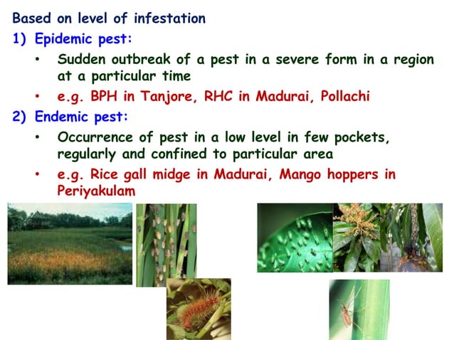Lec. 15. Pests - Definition - Categories, Causes for outbreak of pests ...
