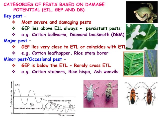 Lec. 15. Pests - Definition - Categories, Causes for outbreak of pests ...