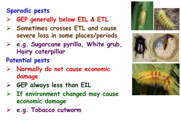Lec. 15. Pests - Definition - Categories, Causes for outbreak of pests ...