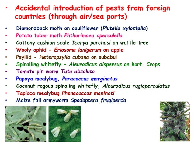 Lec. 15. Pests - Definition - Categories, Causes for outbreak of pests ...