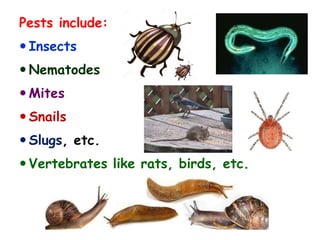 Lec. 15. Pests - Definition - Categories, Causes for outbreak of pests.ppt