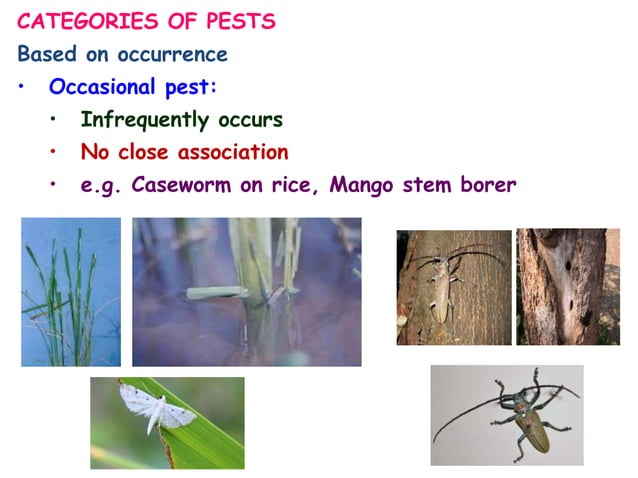Lec. 15. Pests - Definition - Categories, Causes for outbreak of pests ...