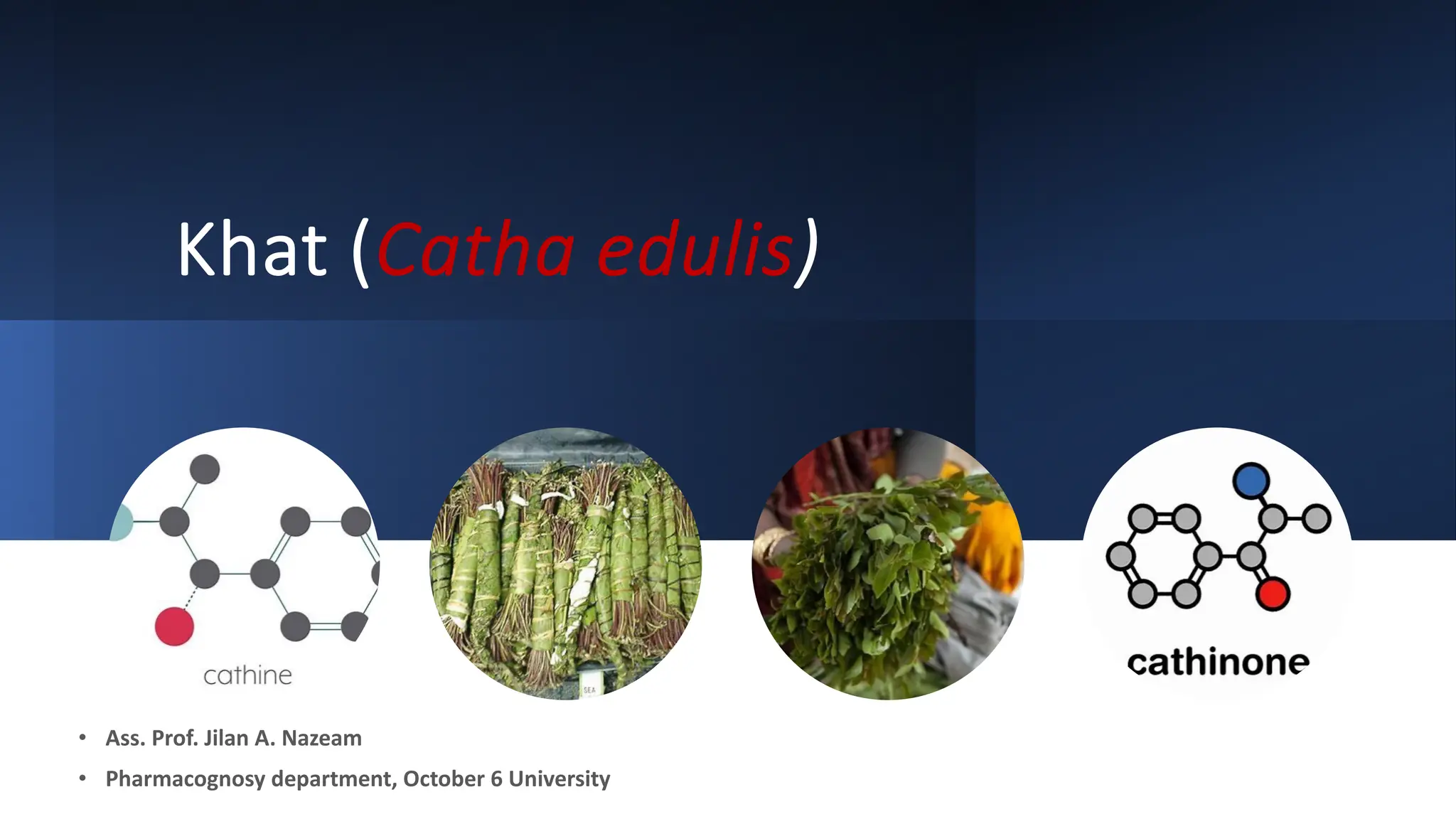 Khat (Catha Edulis) Phytochemical Prospective and drug abuse.pdf