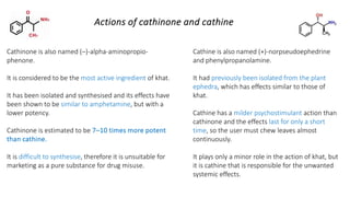 Khat (Catha Edulis) Phytochemical Prospective and drug abuse.pdf
