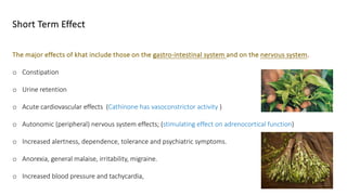 Khat (Catha Edulis) Phytochemical Prospective and drug abuse.pdf