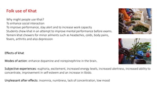 Khat (Catha Edulis) Phytochemical Prospective and drug abuse.pdf