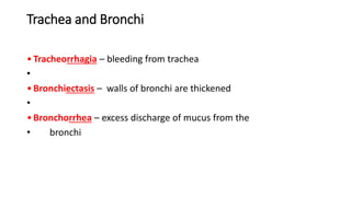 lec._ 8 876545887 medical_terminology[1].pptx