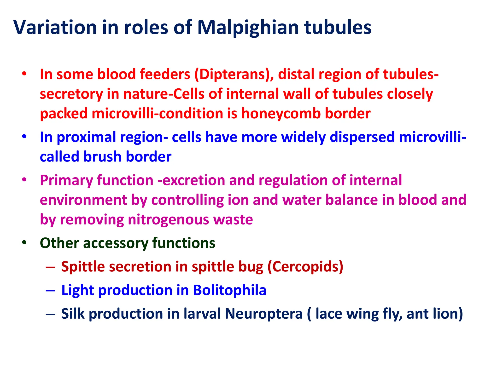 Lec. 9 - Malpighian tubules - accessory excretory organs and physiology ...