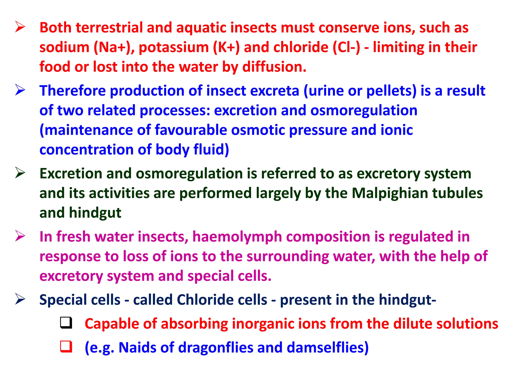 Lec. 9 - Malpighian tubules - accessory excretory organs and physiology ...
