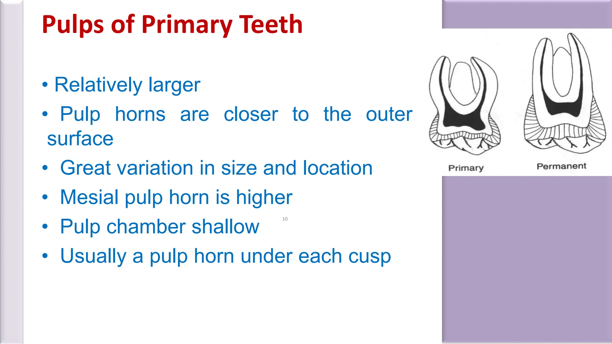 Lec.5 Morphology of the primary teeth(1).pdf