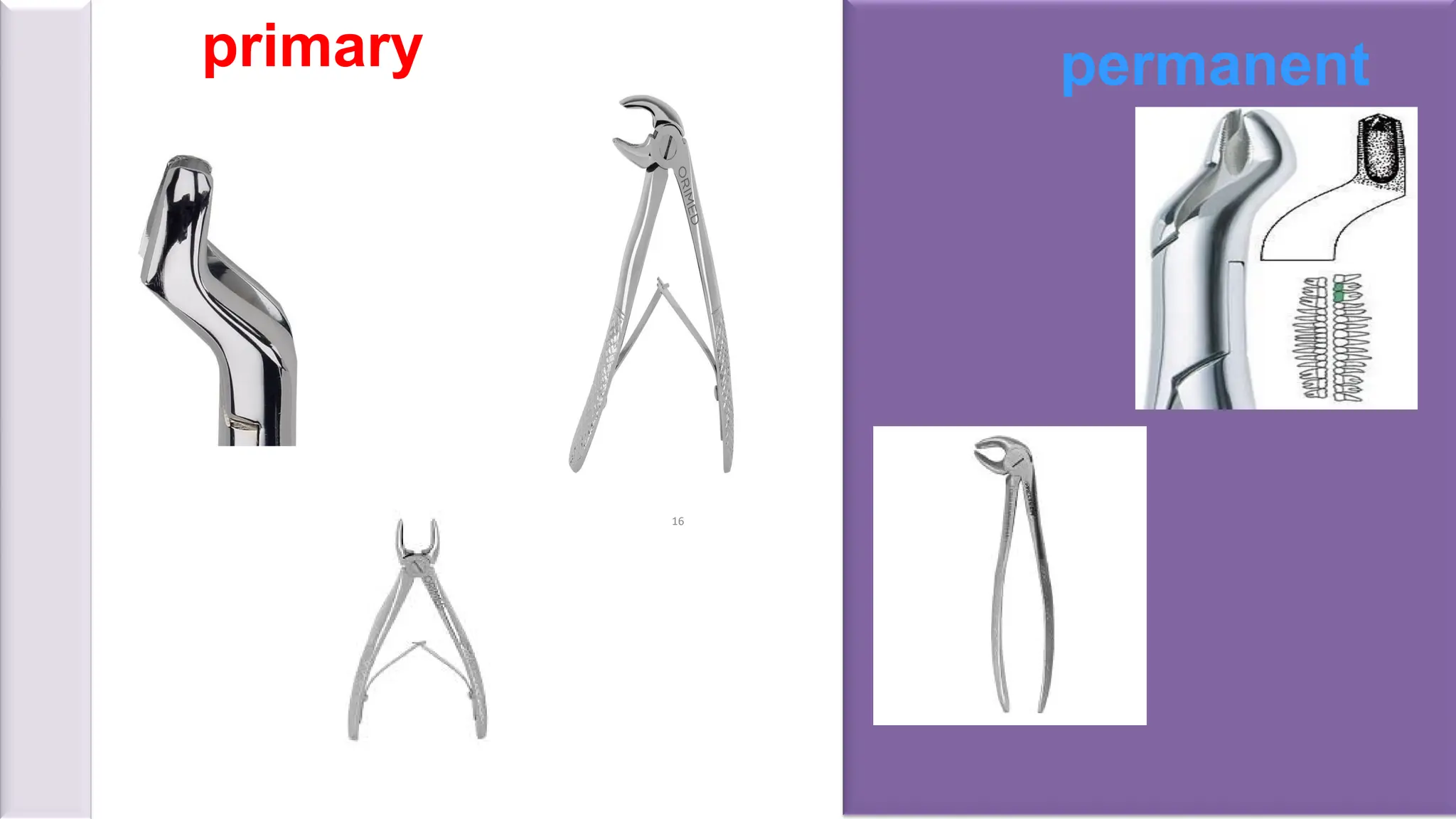 Lec.5 Morphology of the primary teeth(1).pdf