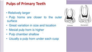 Lec.5 Morphology of the primary teeth(1).pdf