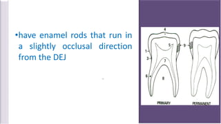Lec.5 Morphology of the primary teeth(1).pdf